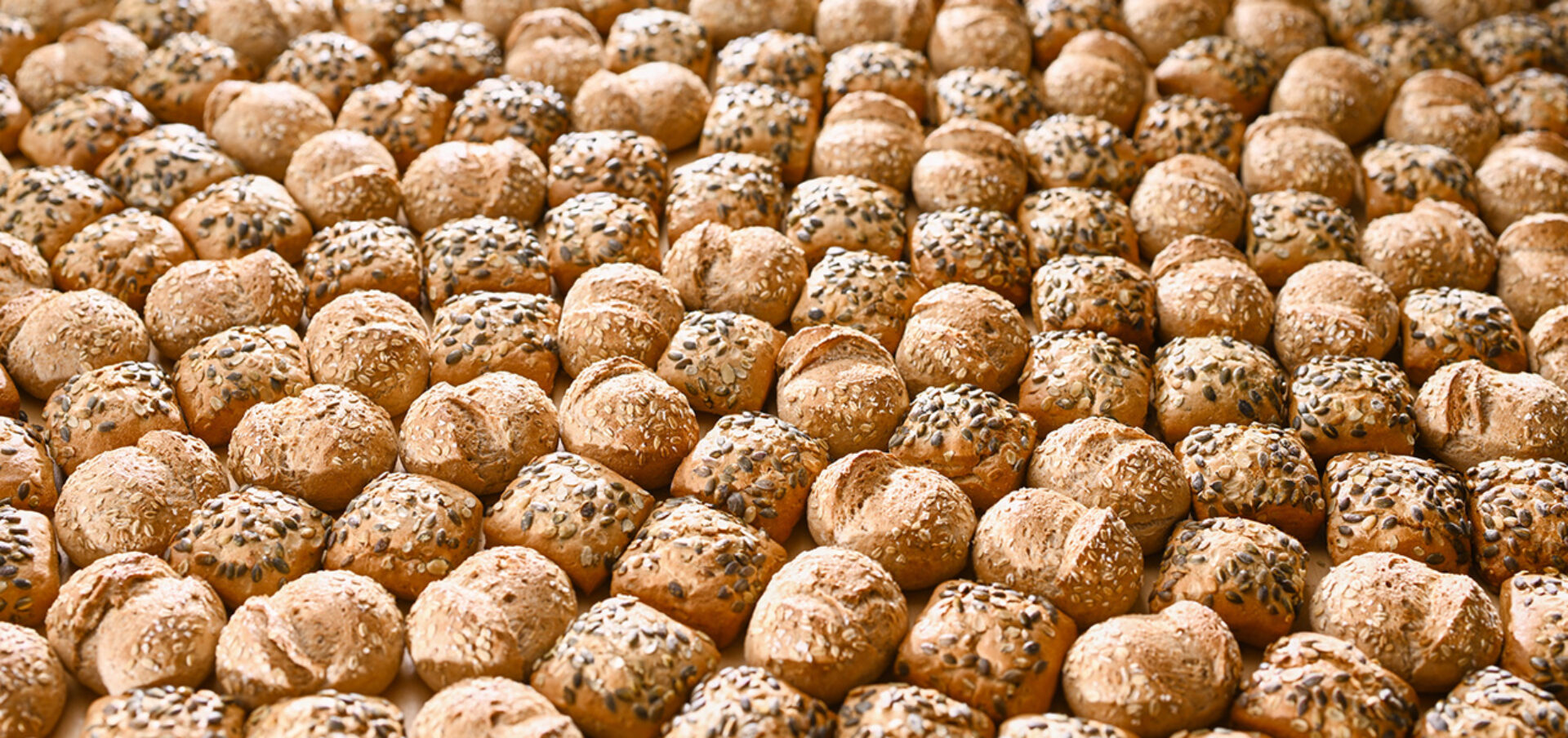 Karriere bei der Bonback